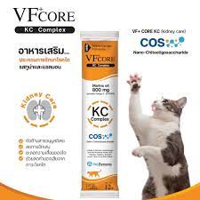 VF+ CORE KC Complex Tuna with Salmon 12g | ASOK PETHOUSE